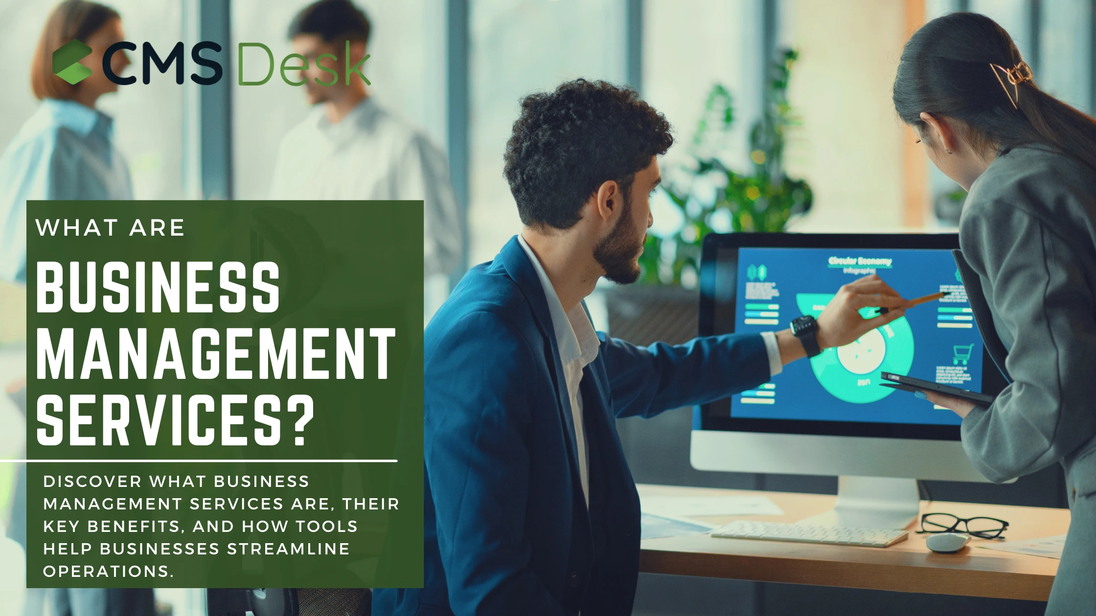 What Are Business Management Services? A Complete Guide